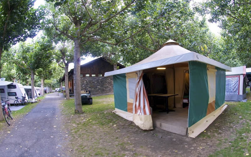 Bengalí | Camping la Borda del Pubill | Pirineos Lleida