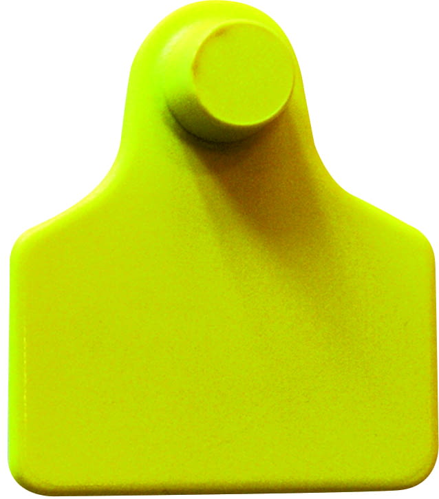 INSERFIX small female ear tags, shovel form, closed model, unnumbered ...