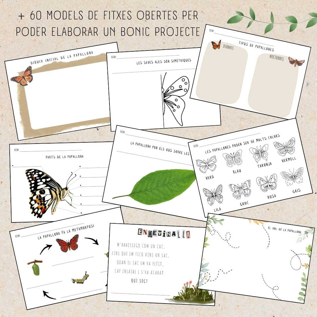 papallones de coloring pages